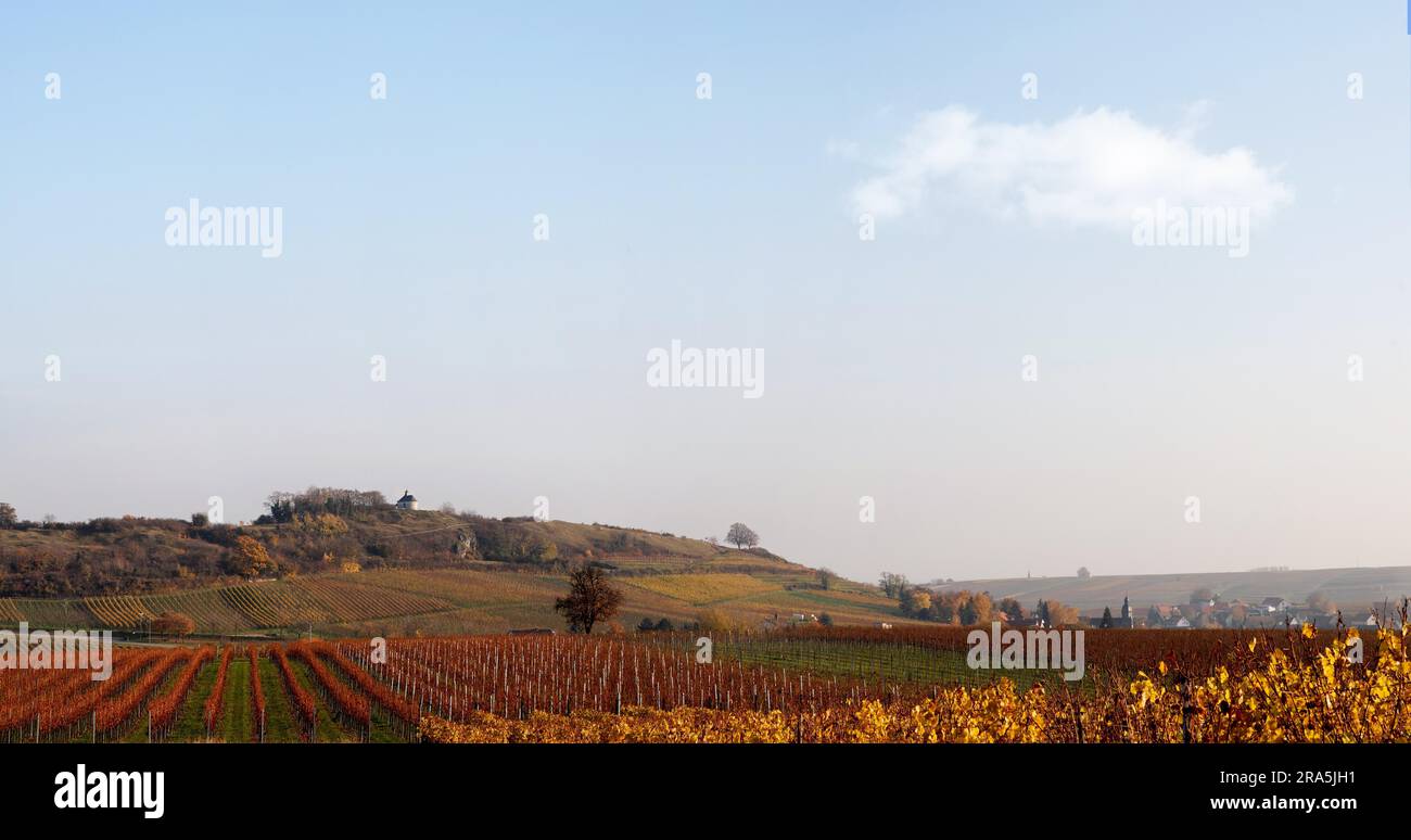 Little kalmit hi-res stock photography and images - Alamy
