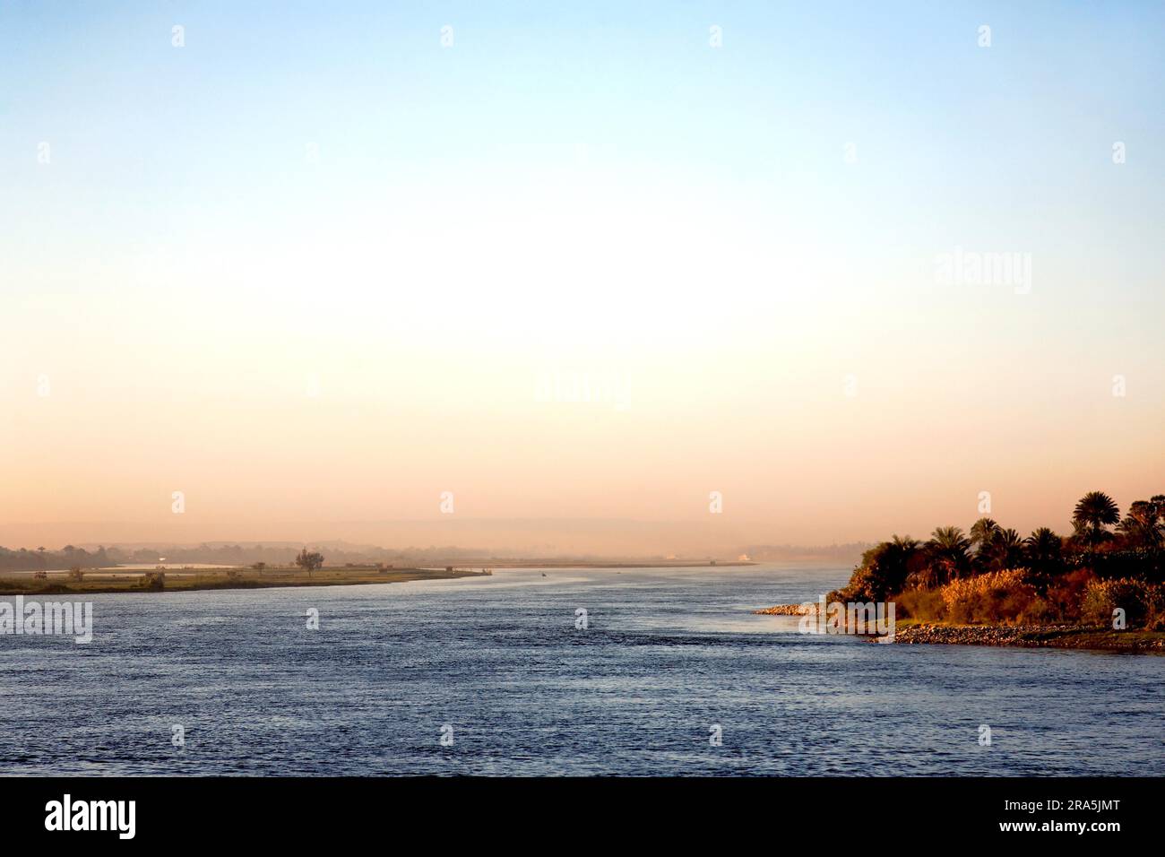 Nile tree hi-res stock photography and images - Alamy