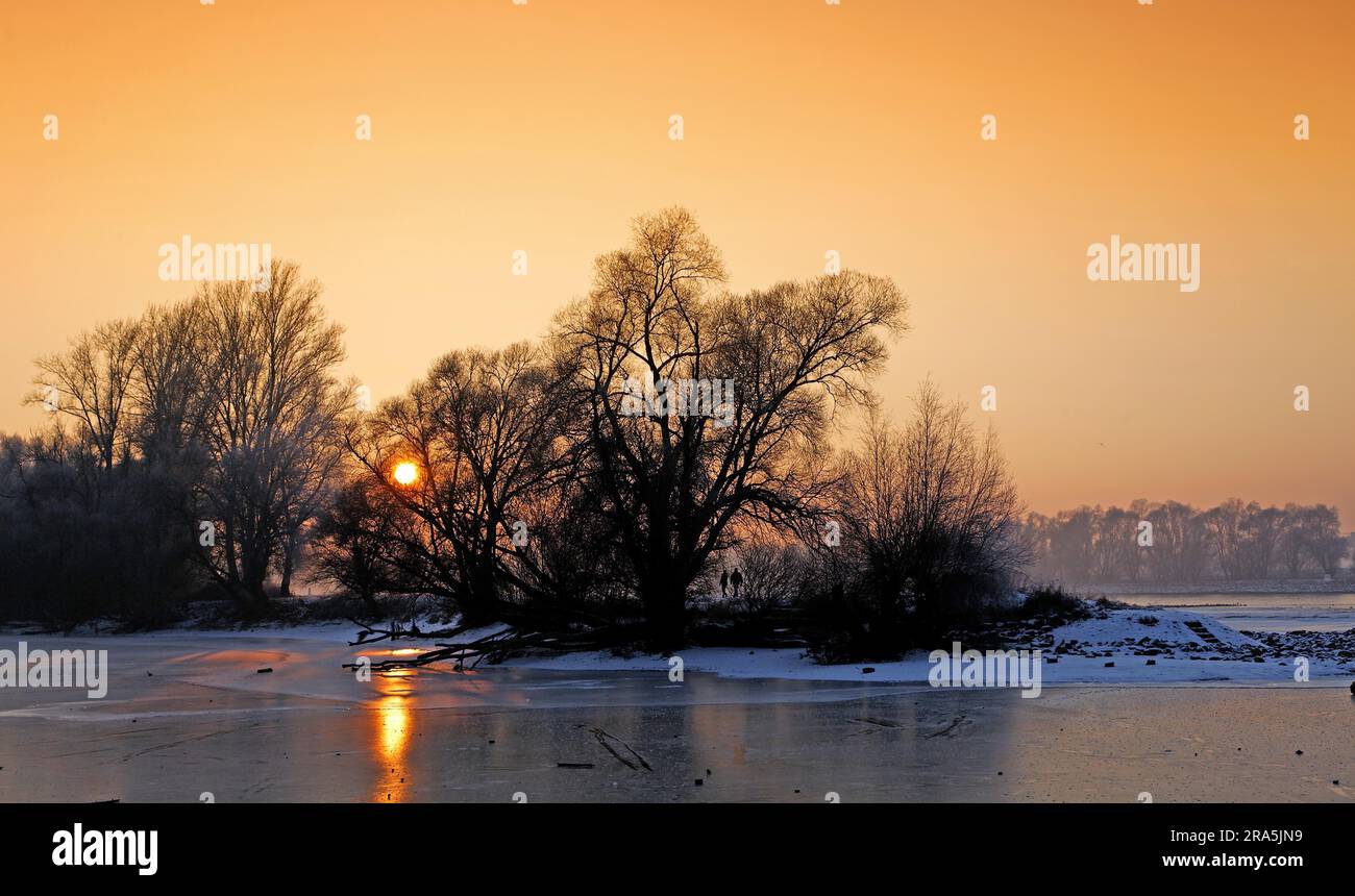 Winter evening on the Rhine Stock Photo - Alamy