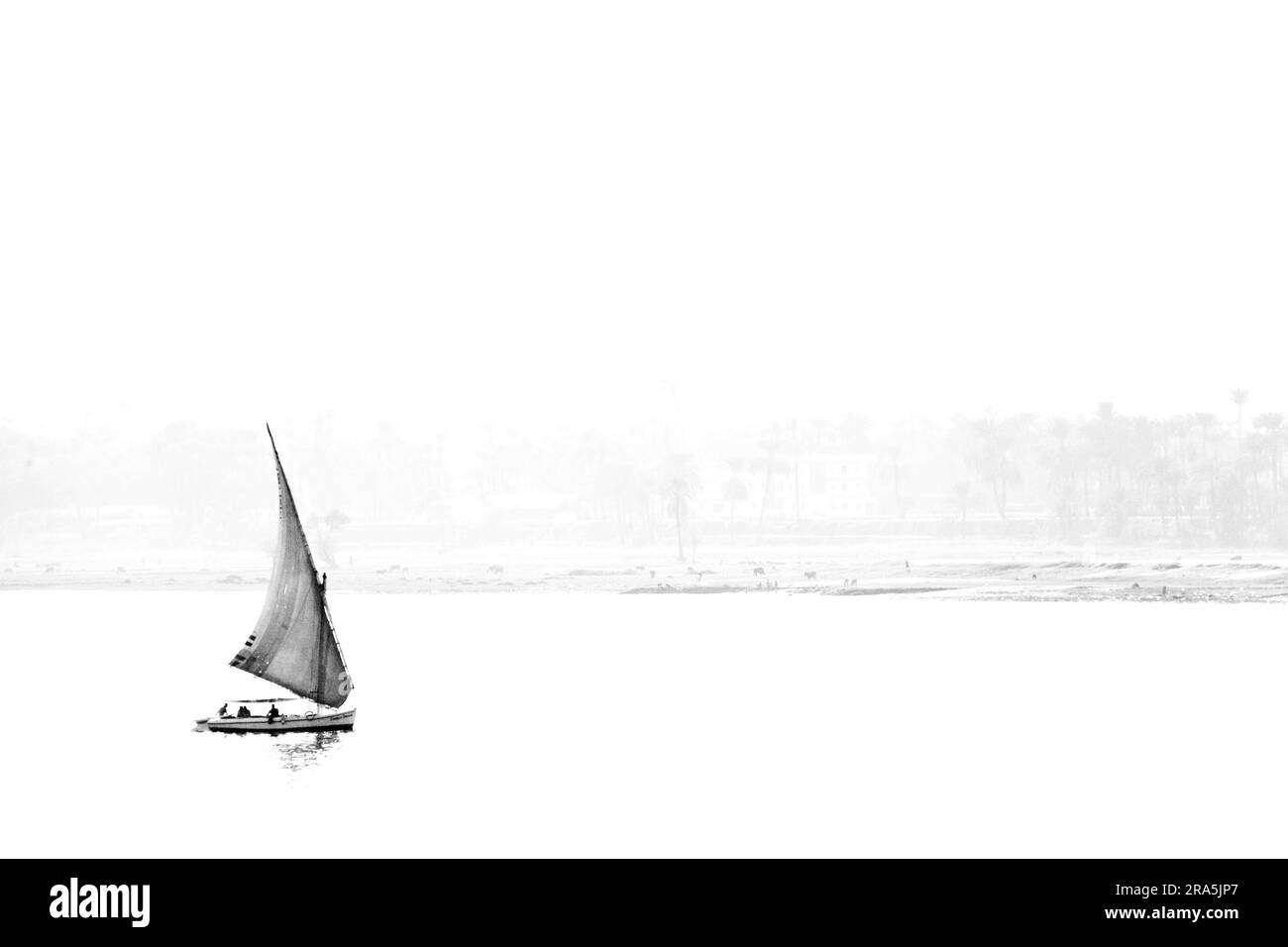 Under The Nile Queen Blanket at Tracy Macias blog