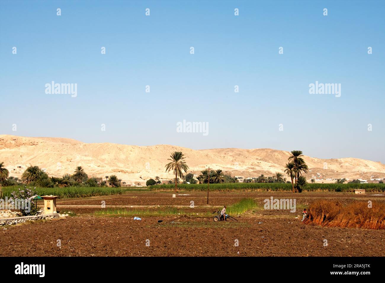 Rural life in Egypt Stock Photo - Alamy