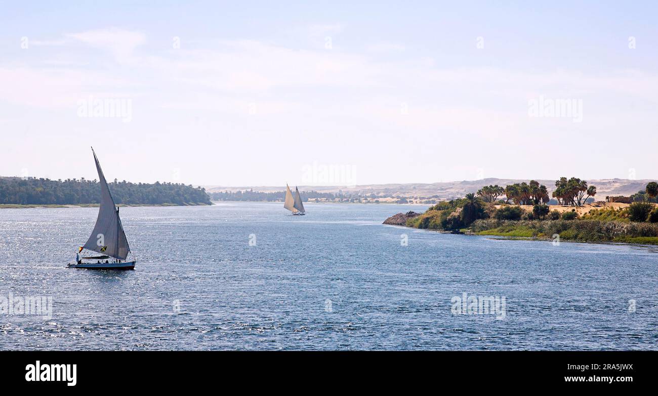 Felucca nile palm hi-res stock photography and images - Alamy