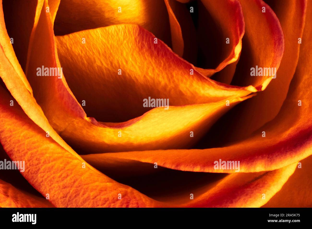 Doctored hi-res stock photography and images - Alamy