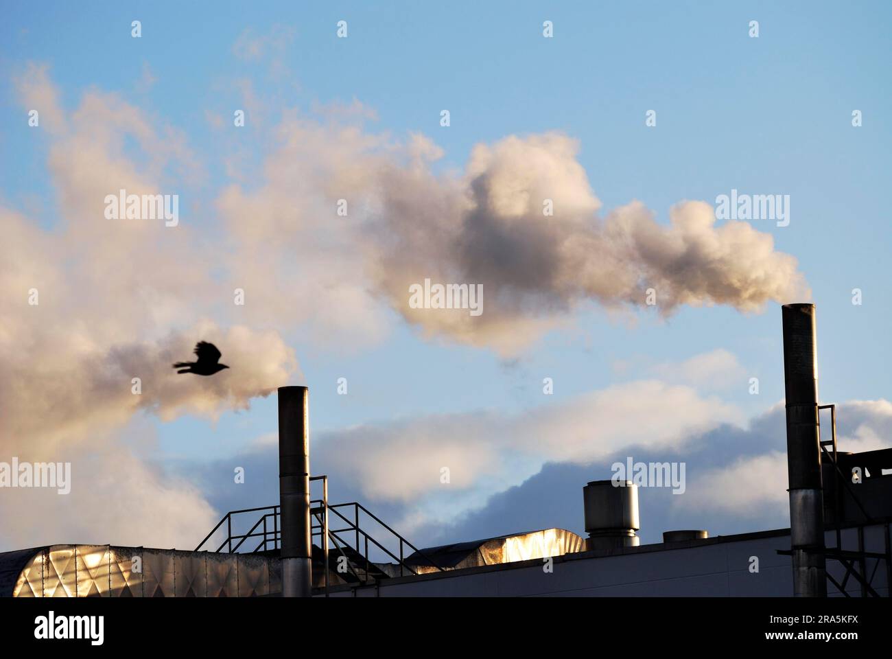Air pollution from a factory Stock Photo - Alamy