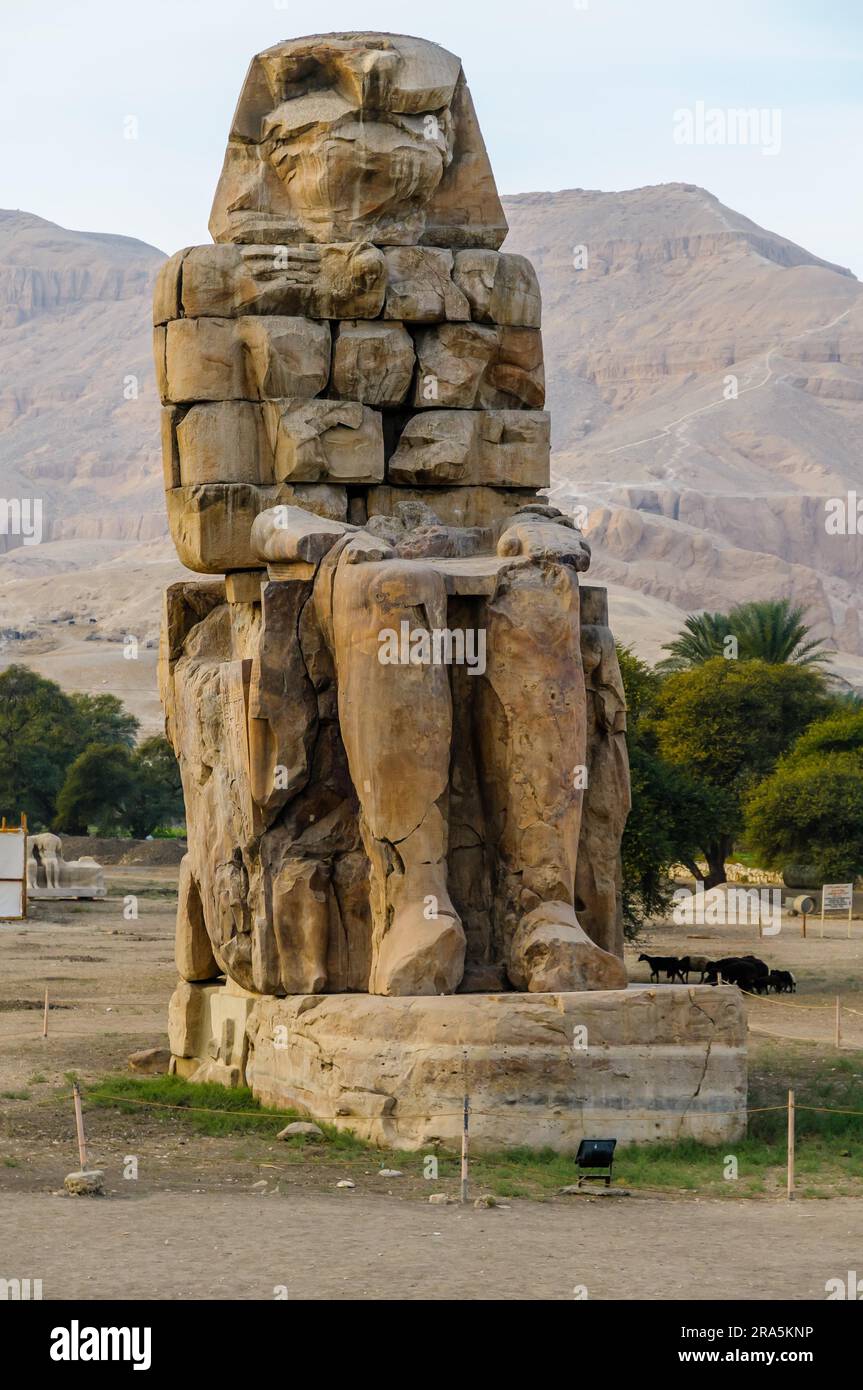 Colossi of Memnon in Luxor in Egypt Stock Photo - Alamy