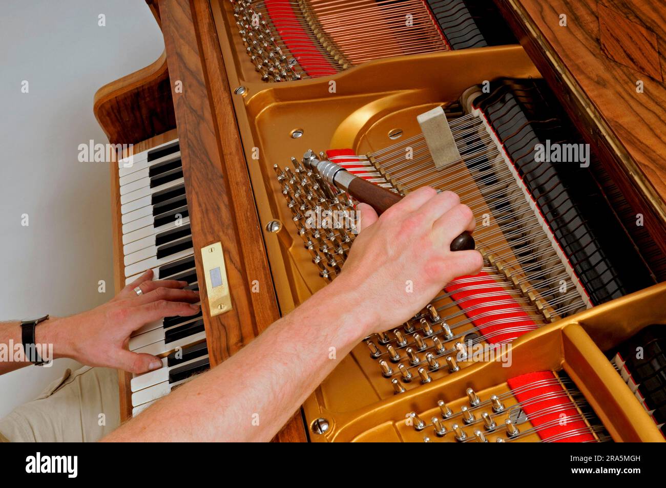 Keyboard instrument hi-res stock photography and images - Alamy