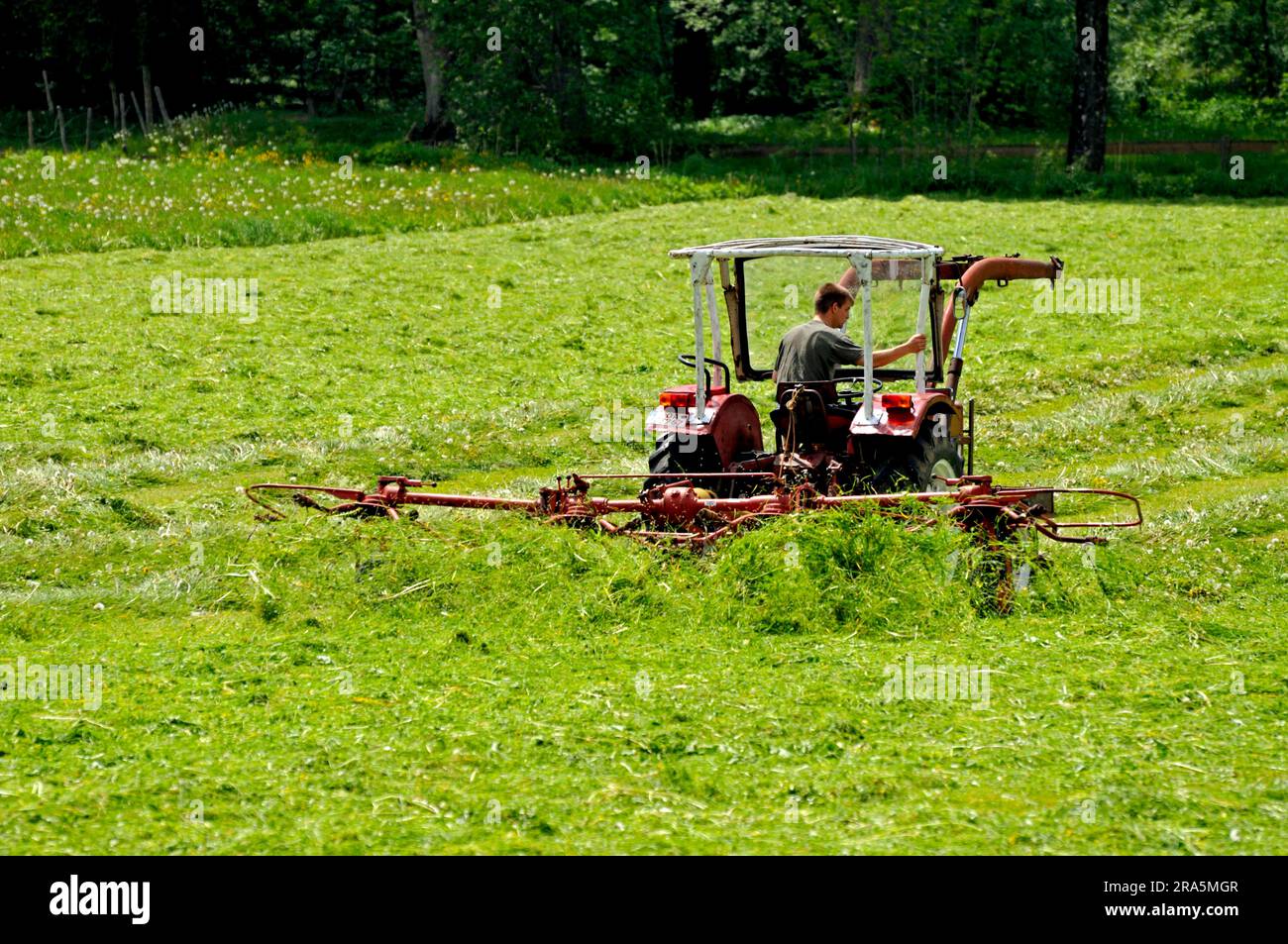 Tractor turning hay, Oberstdorf, Allgaeu, Bavaria, tractor, hay harvest ...