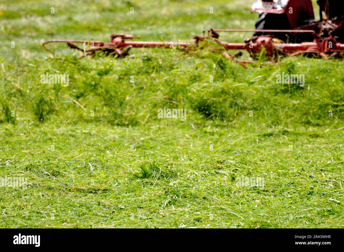 Tractor turning hay, Oberstdorf, Allgaeu, Bavaria, tractor, hay harvest ...