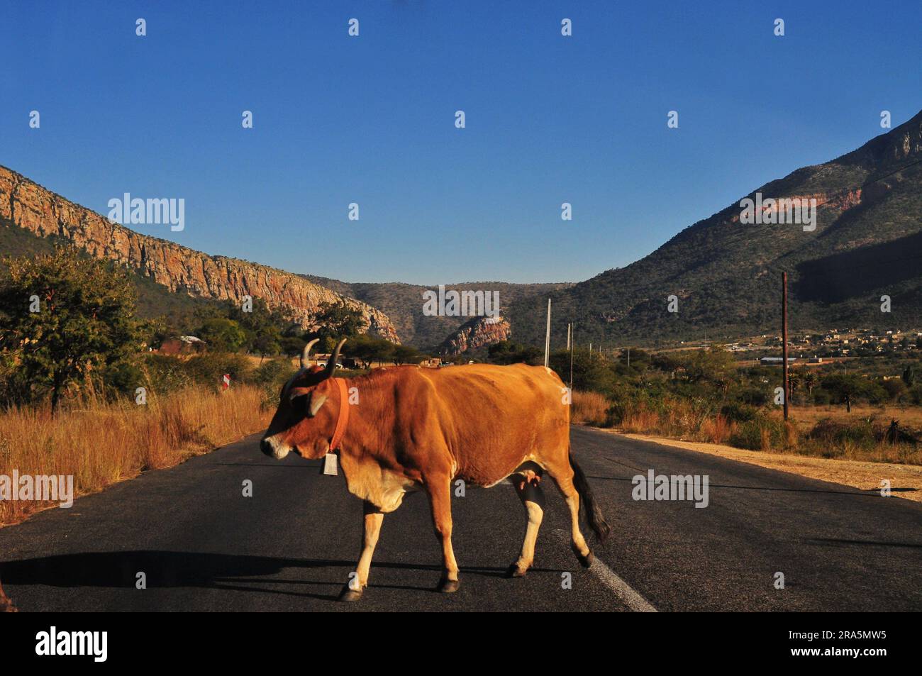 Slice of life in the rural villages of Ga-Chuene and Ga-Maja in Limpopo ...
