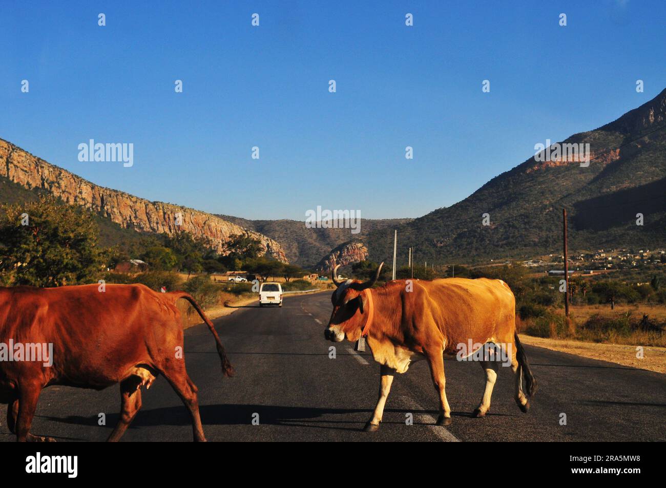 Slice of life in the rural villages of Ga-Chuene and Ga-Maja in Limpopo ...
