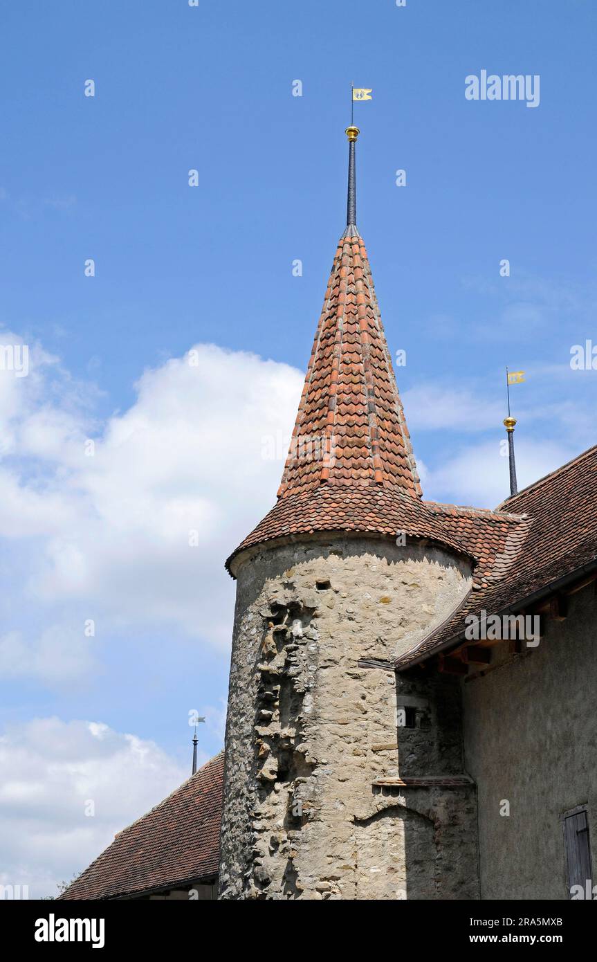 Hallwyl moated castle, Seengen, Aargau, Switzerland Stock Photo - Alamy