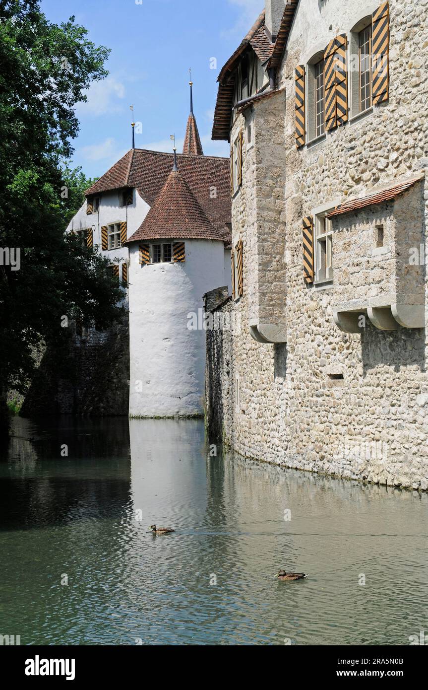 Hallwyl moated castle, Seengen, Aargau, Switzerland Stock Photo - Alamy