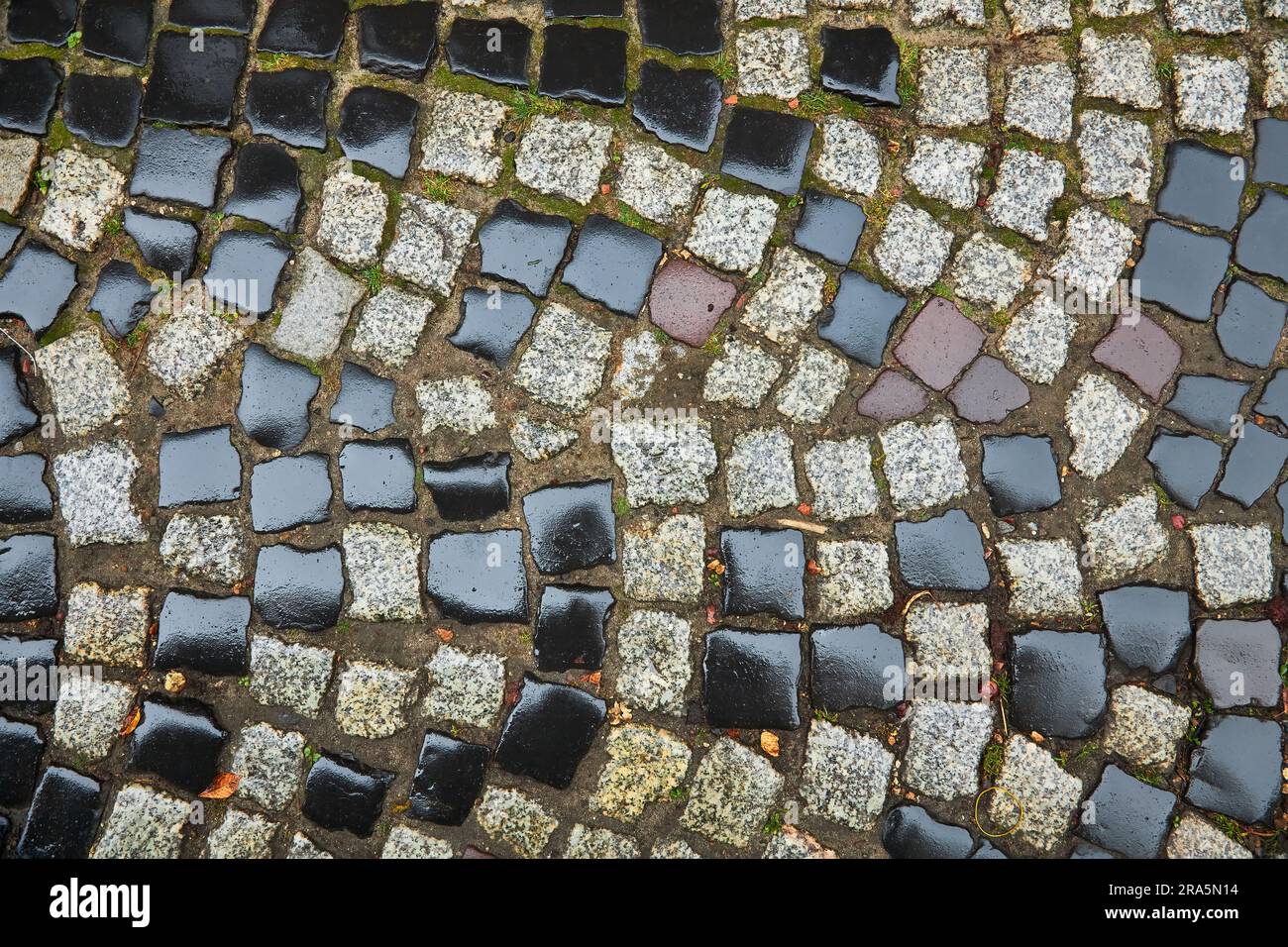 texture wet stone pavers in the old town, wet stone paving stone tiles ...