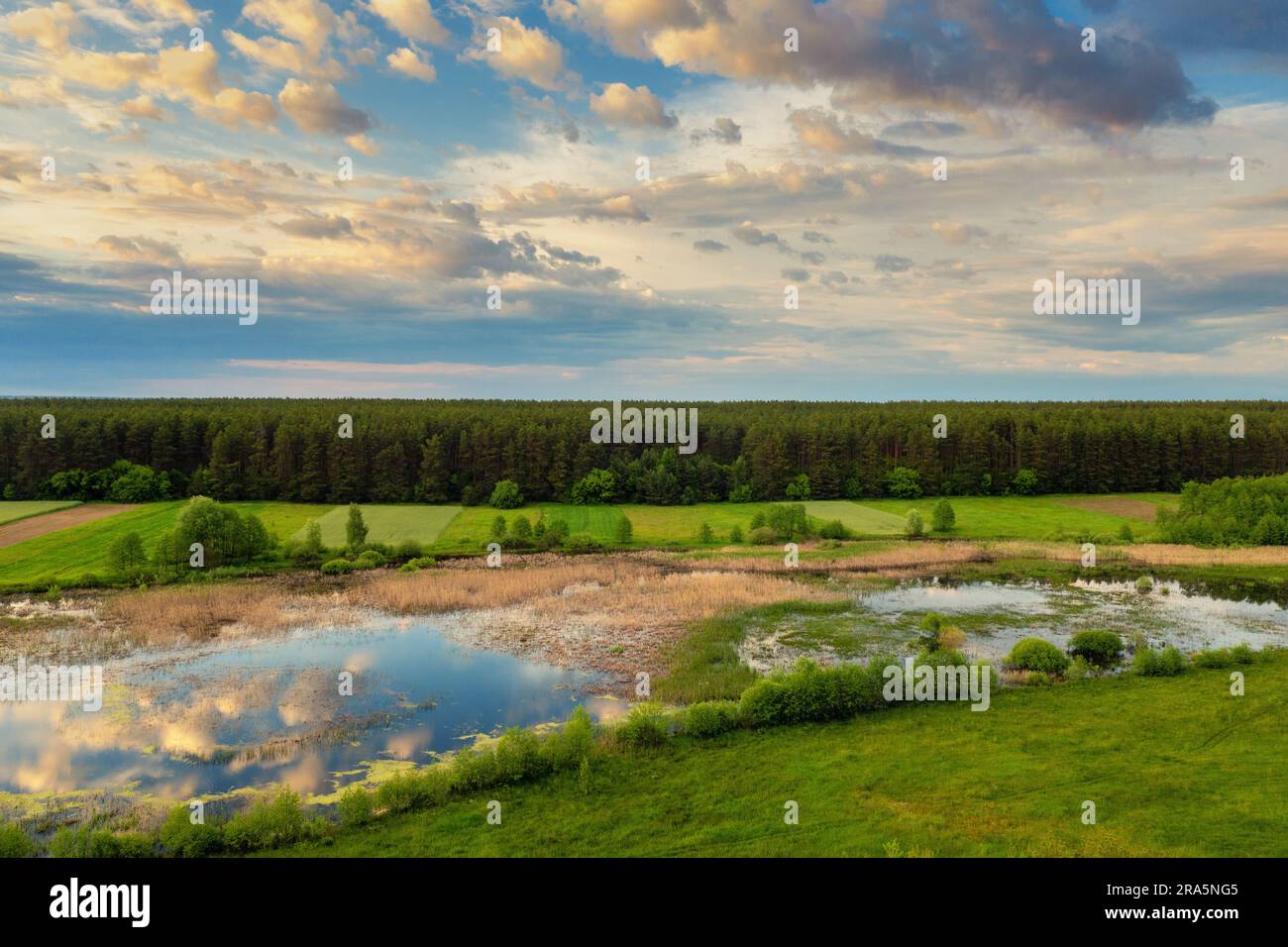 Beautiful lake fields in rural hi-res stock photography and images - Alamy