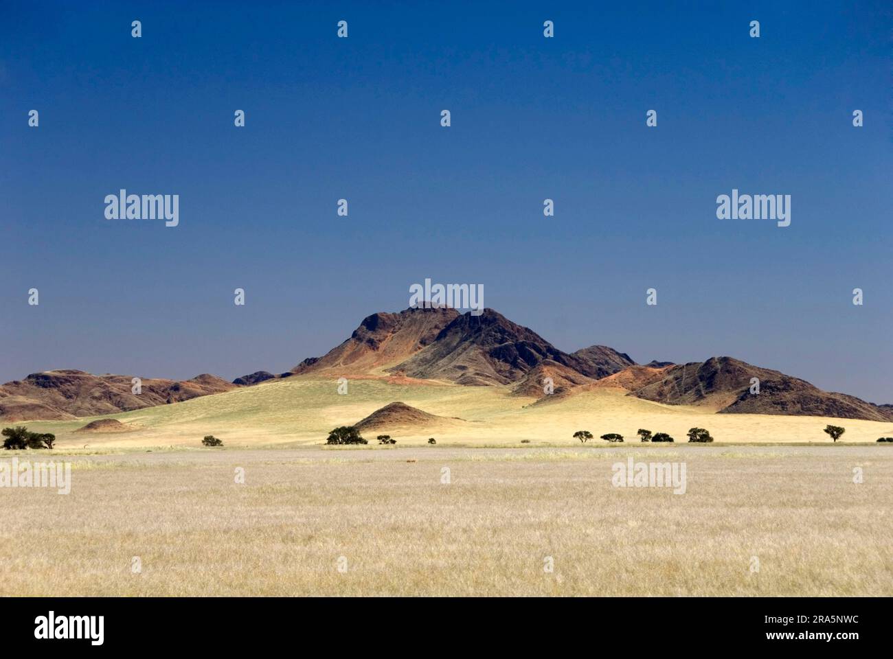 Steppe landscape, on the C27 near Sesriem, Namibia Stock Photo - Alamy