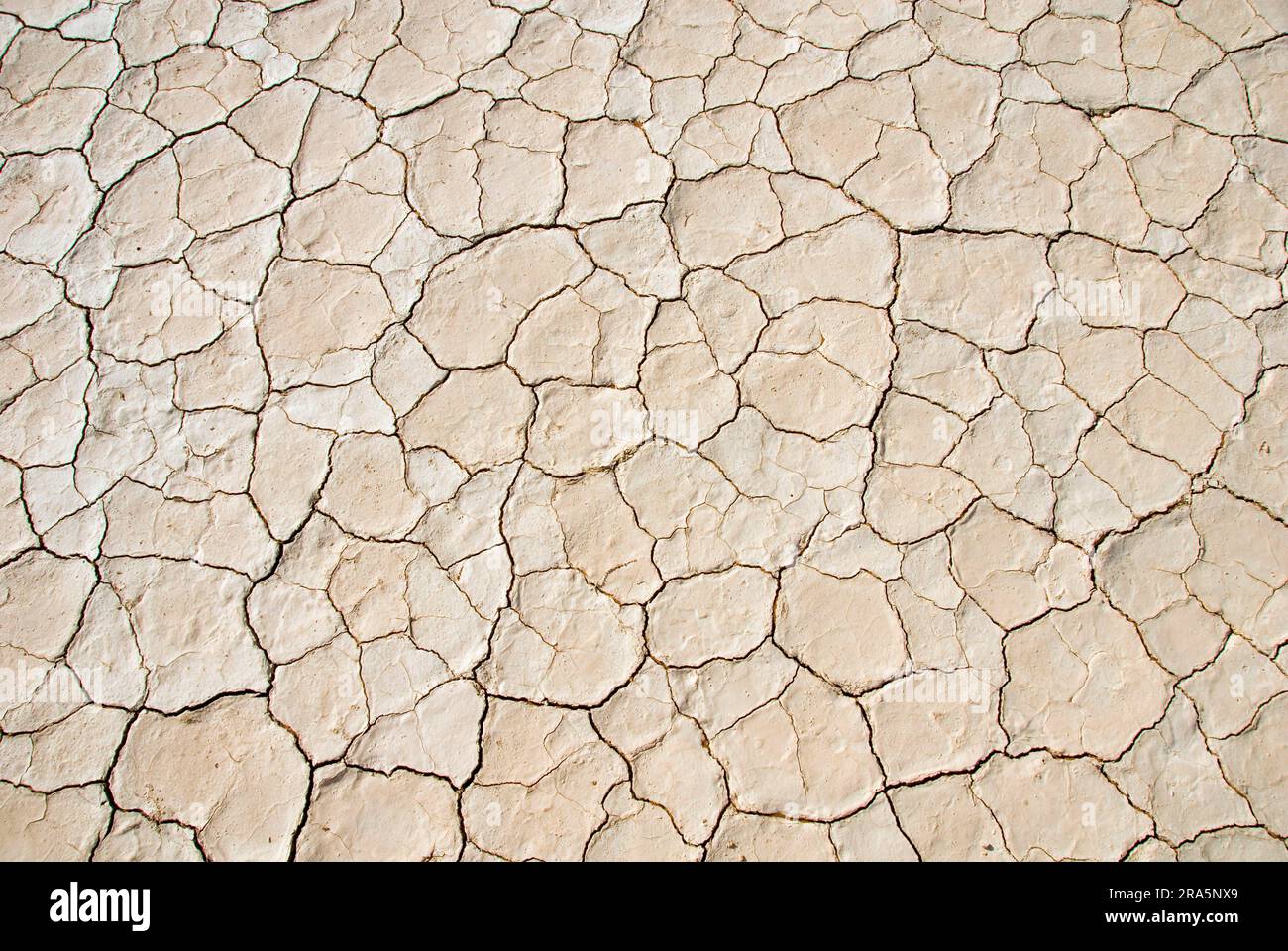 Parched Earth, Badwater Basin, Sossusvlei, Namib Desert, Namibia, Salt ...