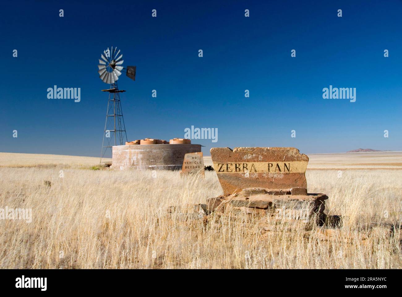 Zebra pan namib desert namibia hi-res stock photography and images - Alamy