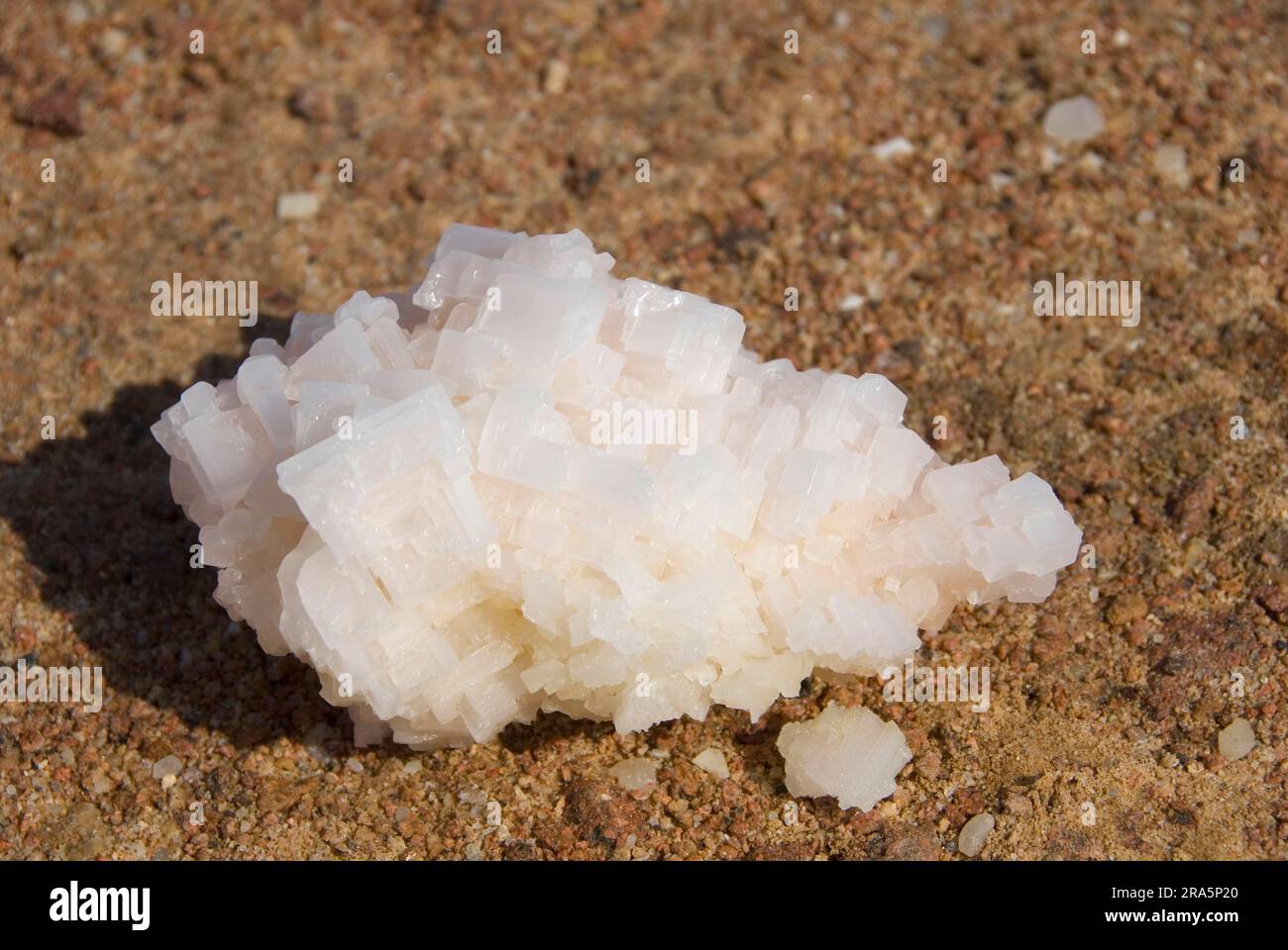Salt crystal, Namibia Stock Photo - Alamy