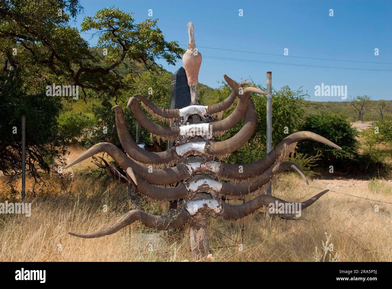 Male grave, Himba cemetery in the Kaokoveld, Namibia, grave, burial ...