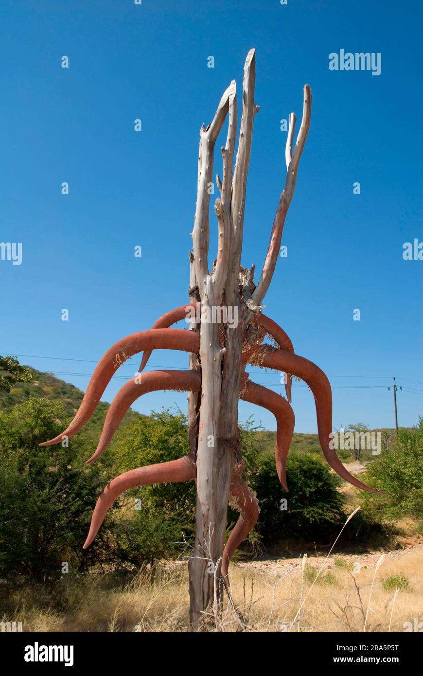 Himba burial hi-res stock photography and images - Alamy