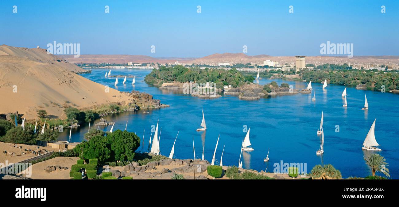 Sailing ships on the Nile, Aswan, felucca, felucca, Egypt Stock Photo ...