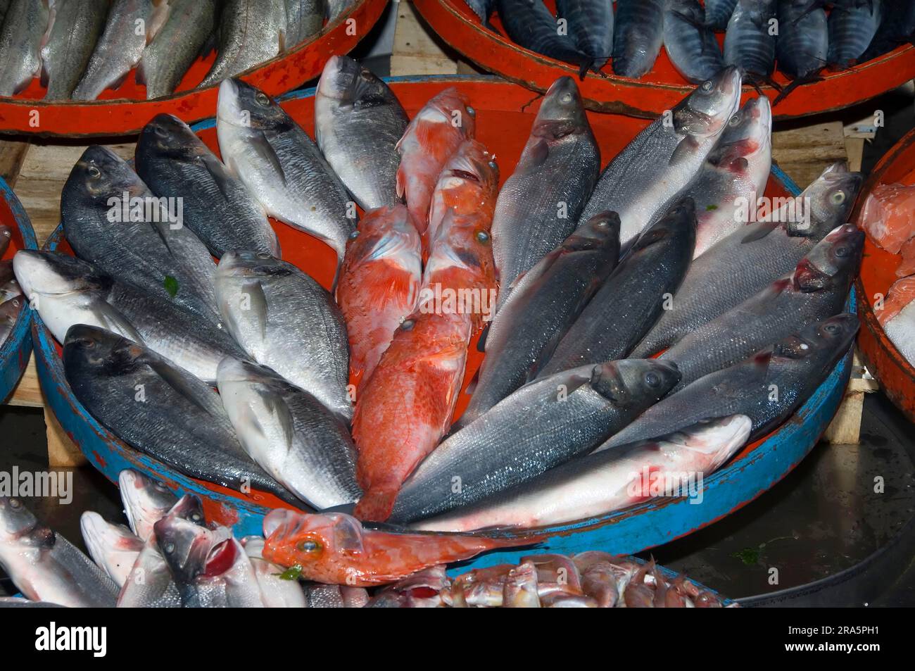 Fish, fish market, Antalya, Turkey Stock Photo - Alamy