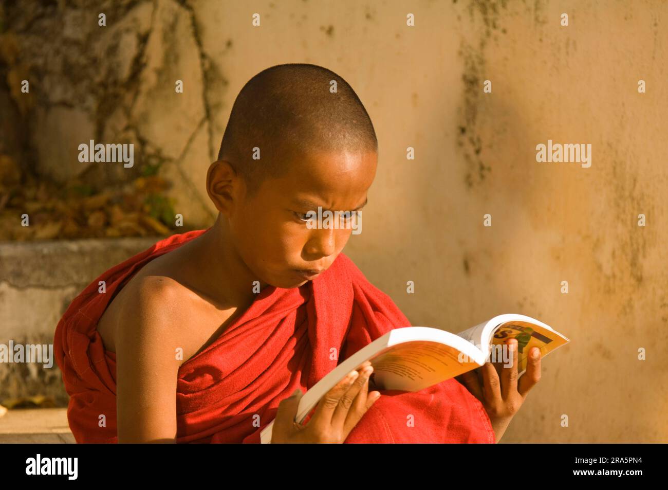 Boy child buddhist monk hi-res stock photography and images - Alamy