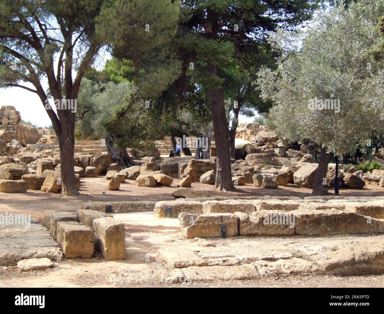 Ruins of the Temple of Zeus, Valley of the Temples, Agrigento, Sicily ...
