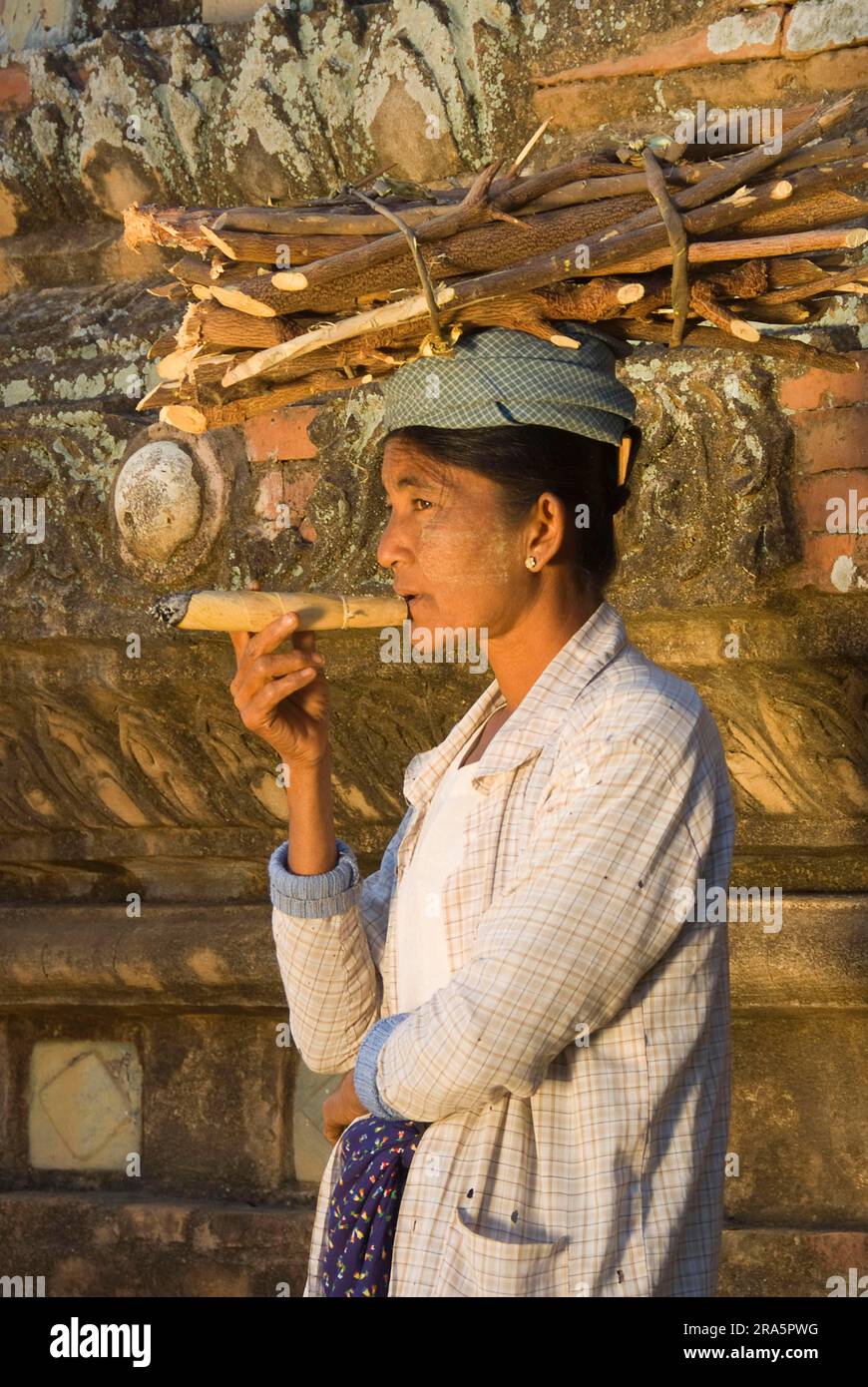 Burmese woman carrying wood on head and smoking traditional cigar ...