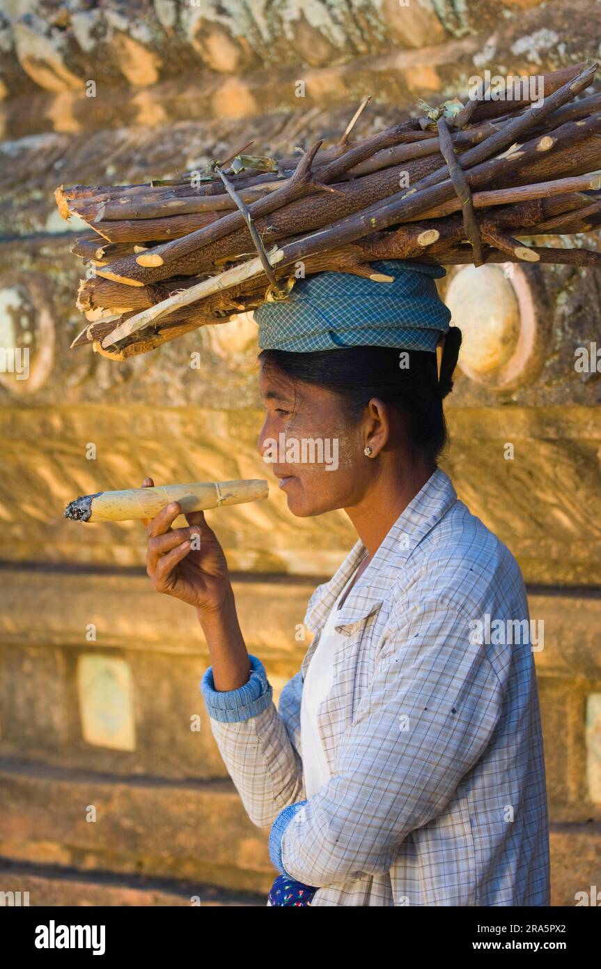 Burmese woman carries wood on head and smokes traditional cigar, Bagan ...