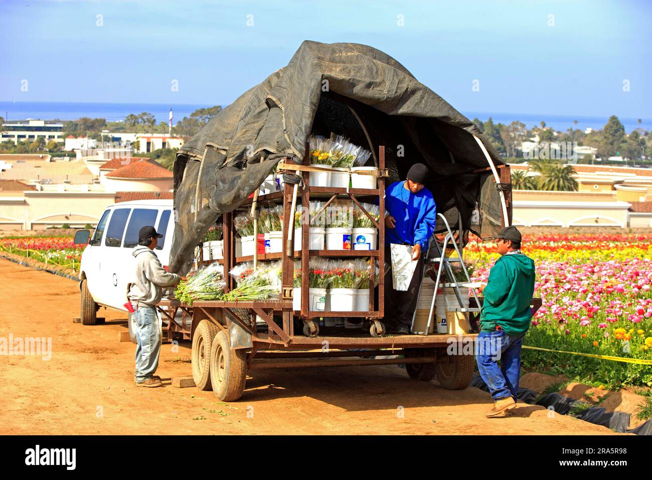 Man loading flowers hi-res stock photography and images - Alamy