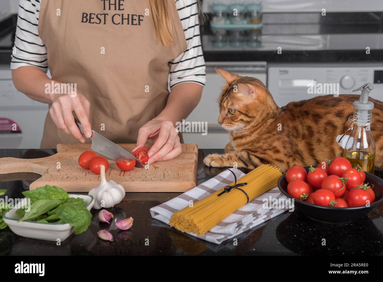 The cat and her owner prepare pasta with cherry tomatoes and basil. The ...