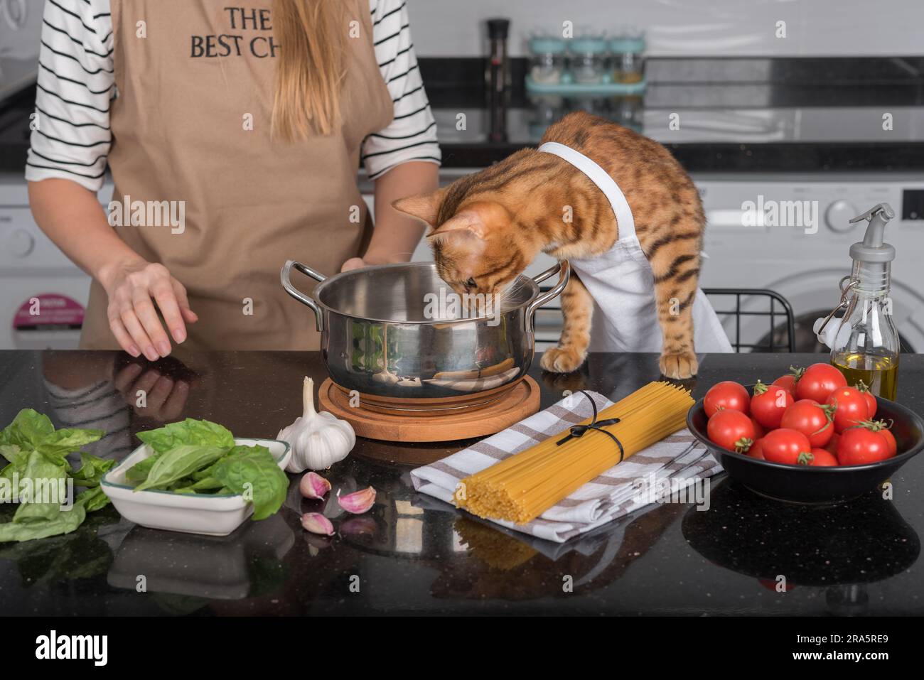 The cat and her owner prepare pasta with cherry tomatoes and basil. The ...