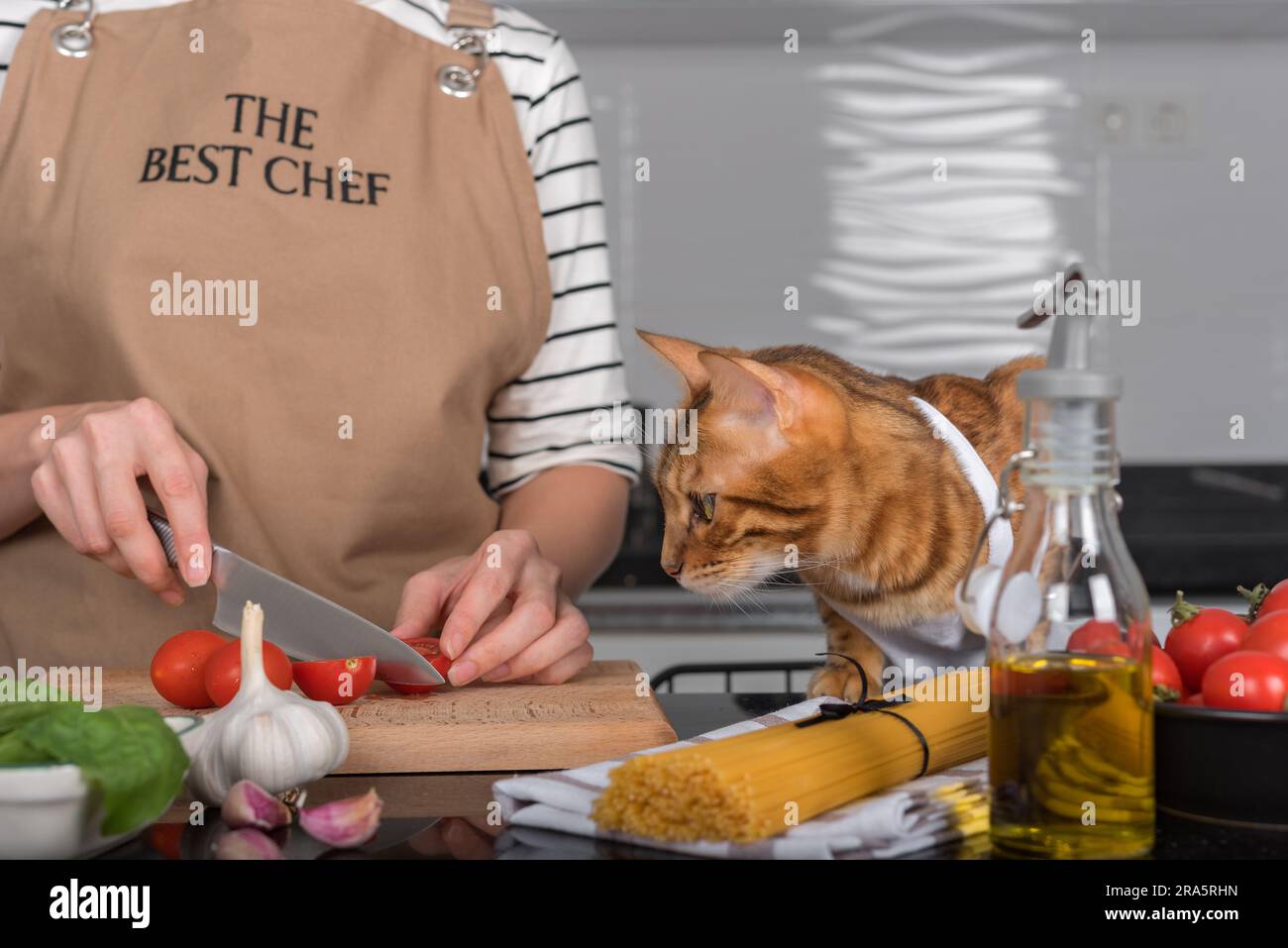The cat and its owner in aprons cook food together in the home kitchen ...