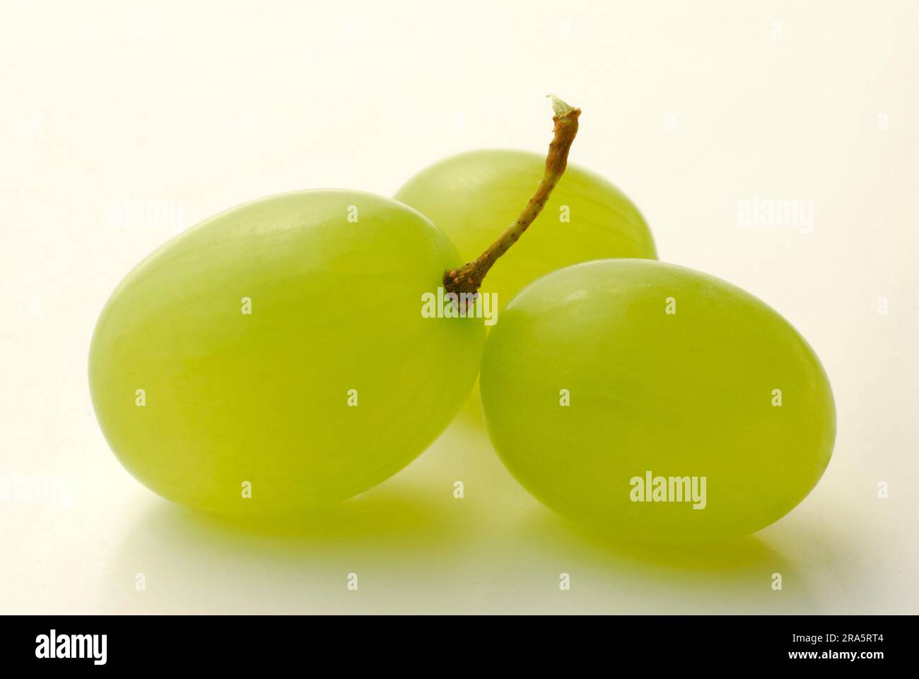 Red Grapes (Vitis vinifera Stock Photo - Alamy