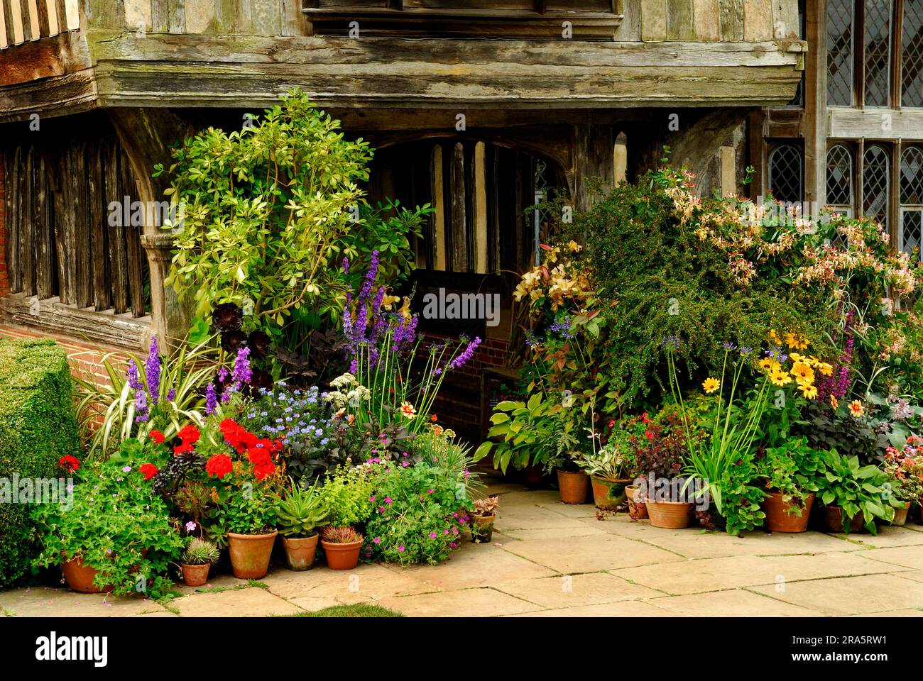 Potted plants, Great Dixter, Northiam, Kent, England, Great Britain ...