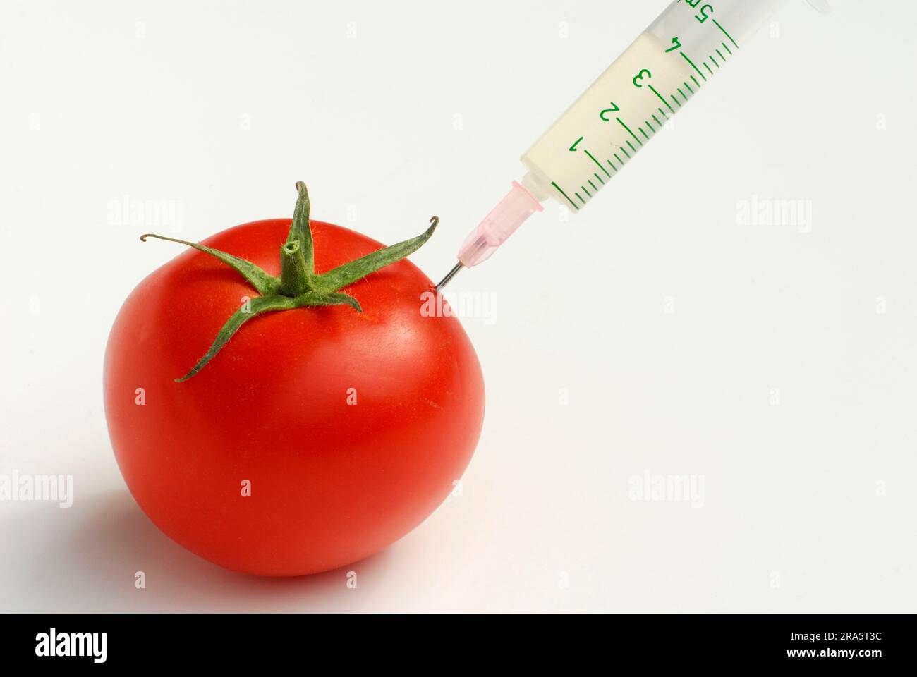 Injection into tomato, genetic engineering, genetic manipulation Stock ...