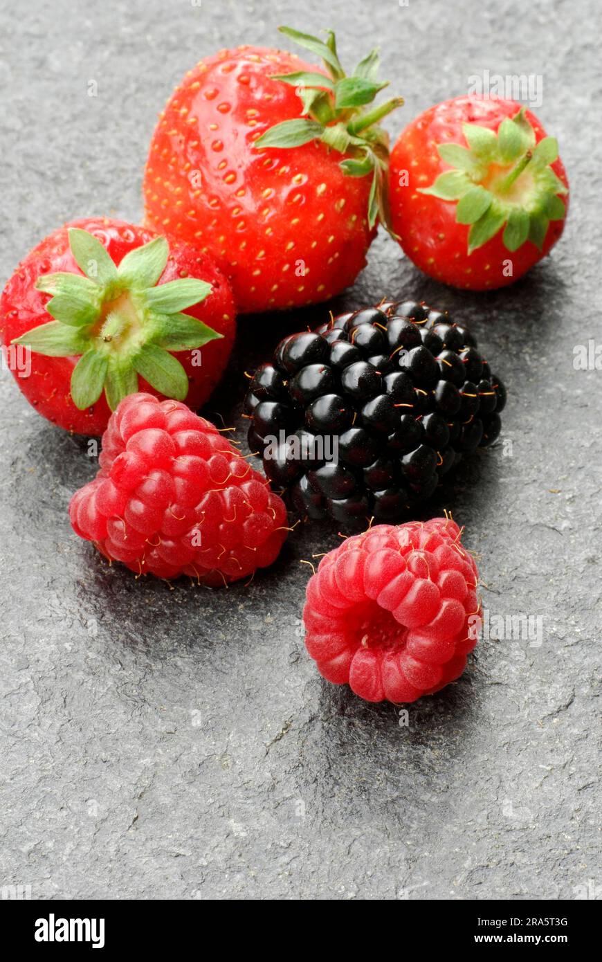 Rubus idaeus x fruticosus hi-res stock photography and images - Alamy