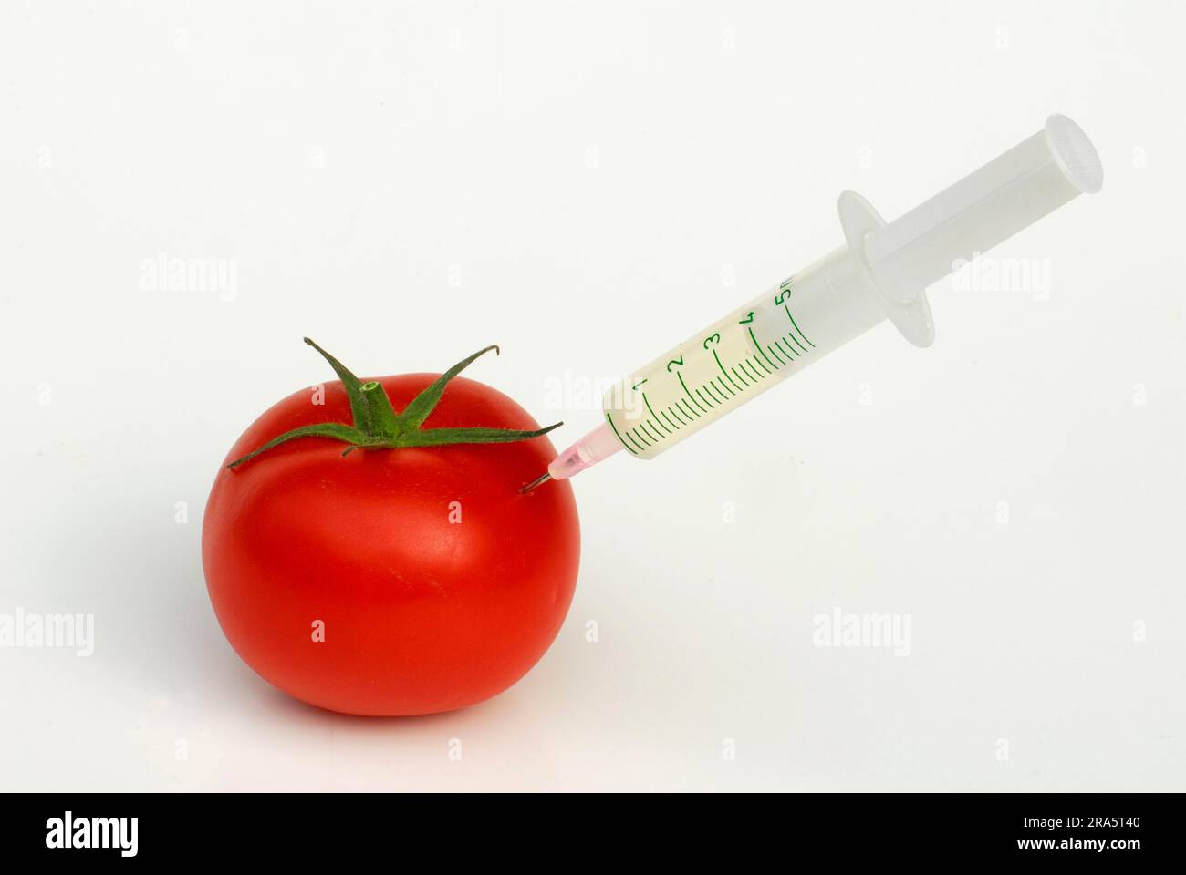 Injection into tomato, genetic engineering, genetic manipulation Stock ...