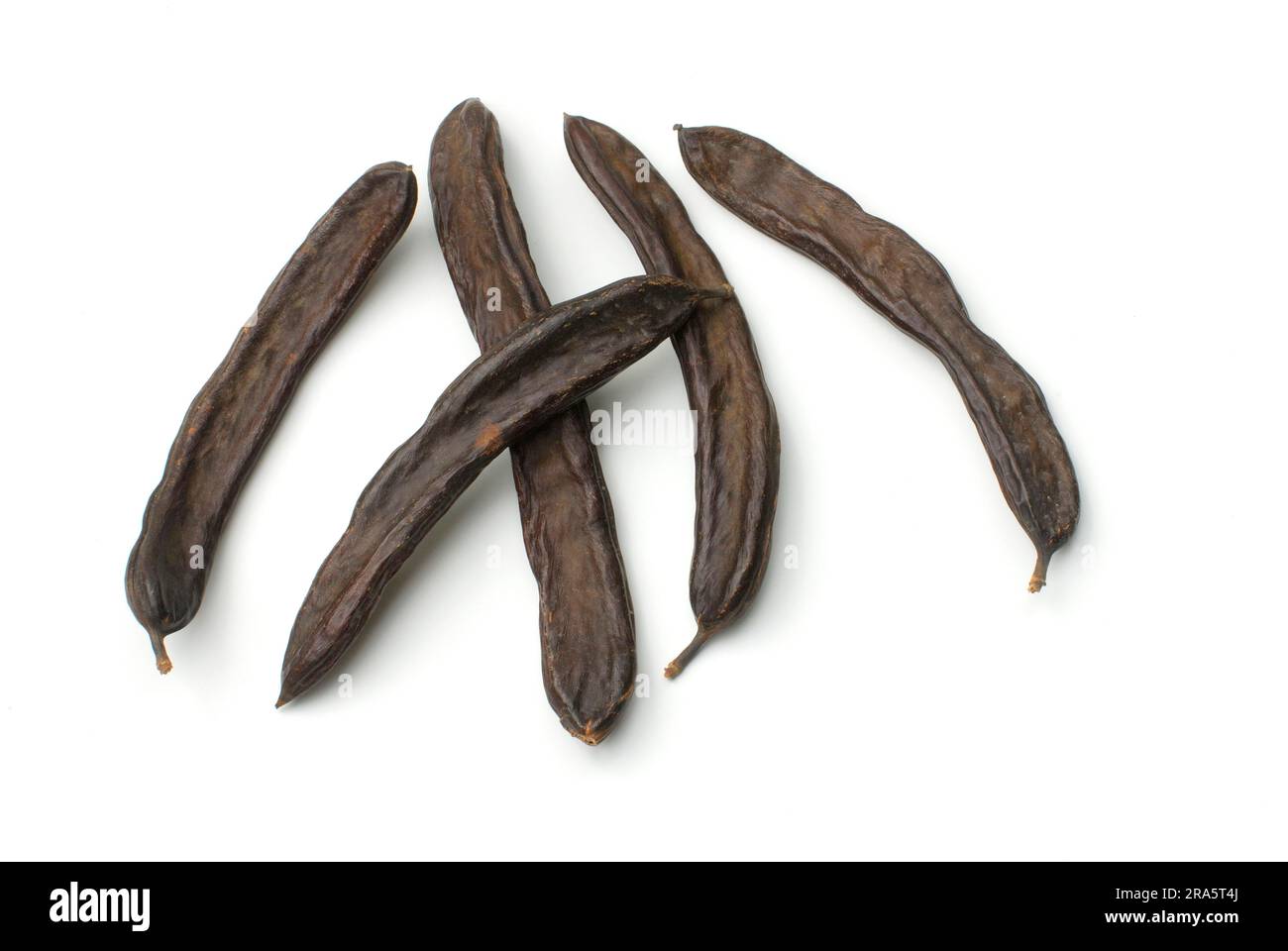 Carob tree ceratonia siliqua hi-res stock photography and images - Alamy