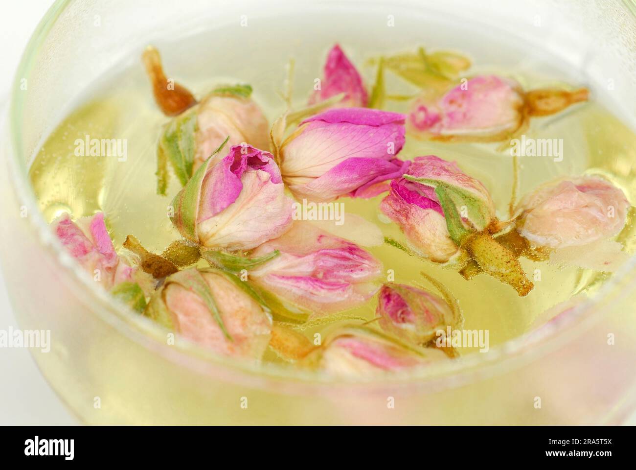 Tea rosebud hi-res stock photography and images - Alamy