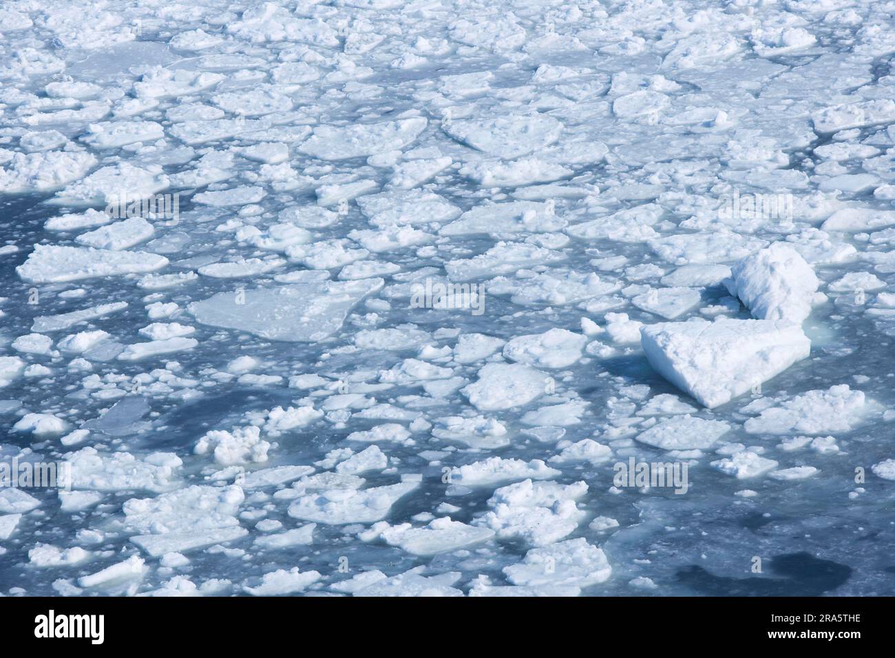 Drift ice, Cape Notoro, Hokkaido, Cape Notoro, Japan Stock Photo - Alamy