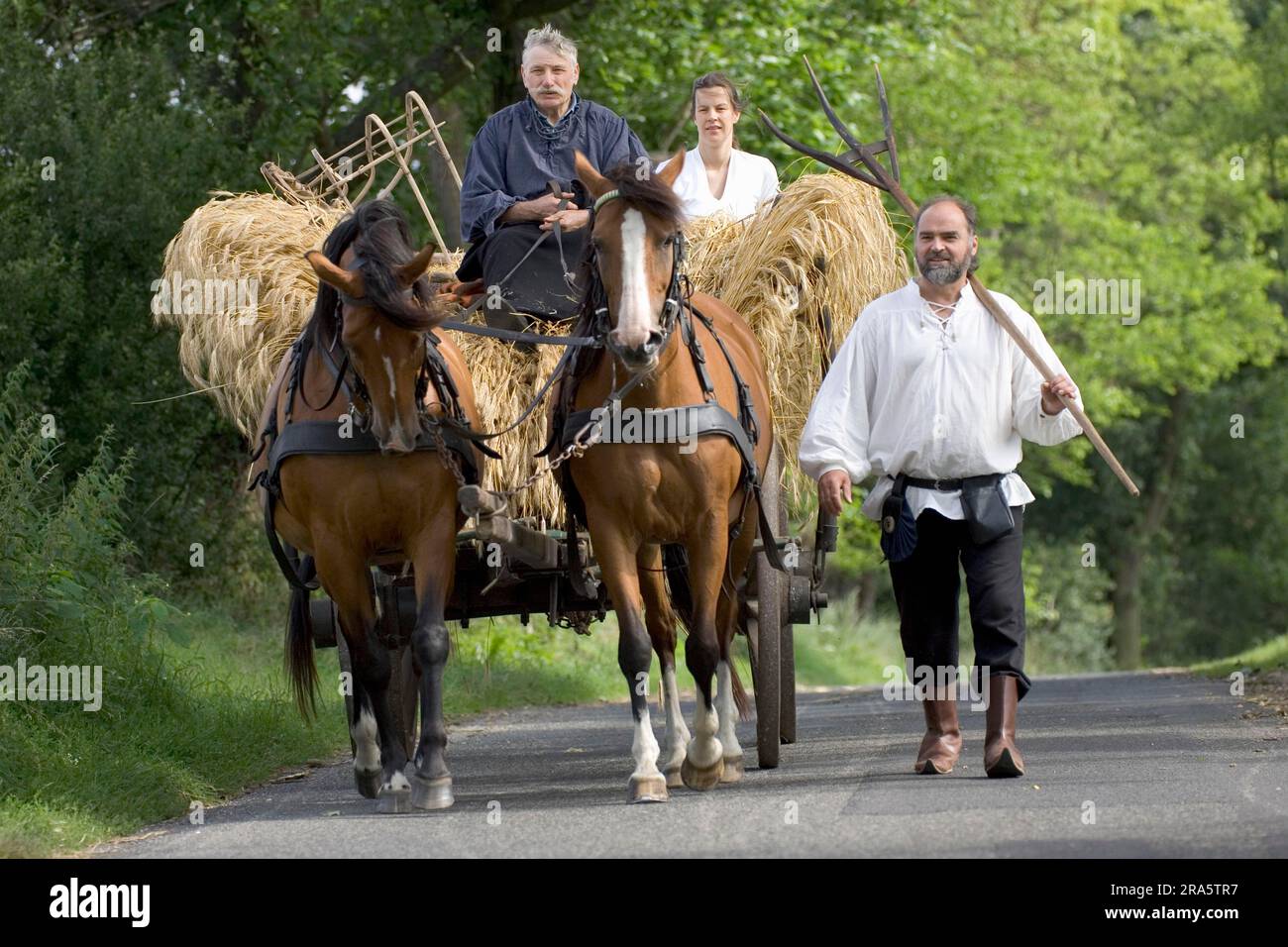 Horse-drawn carriage loaded with straw and grain, peasants dressed in ...