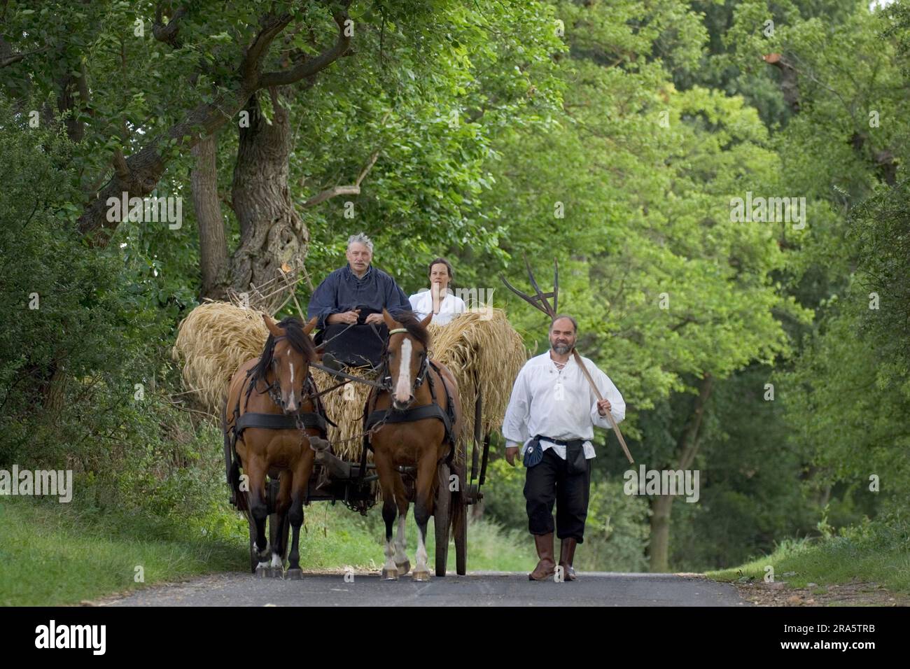 Horse-drawn carriage loaded with straw and grain, peasants dressed in ...