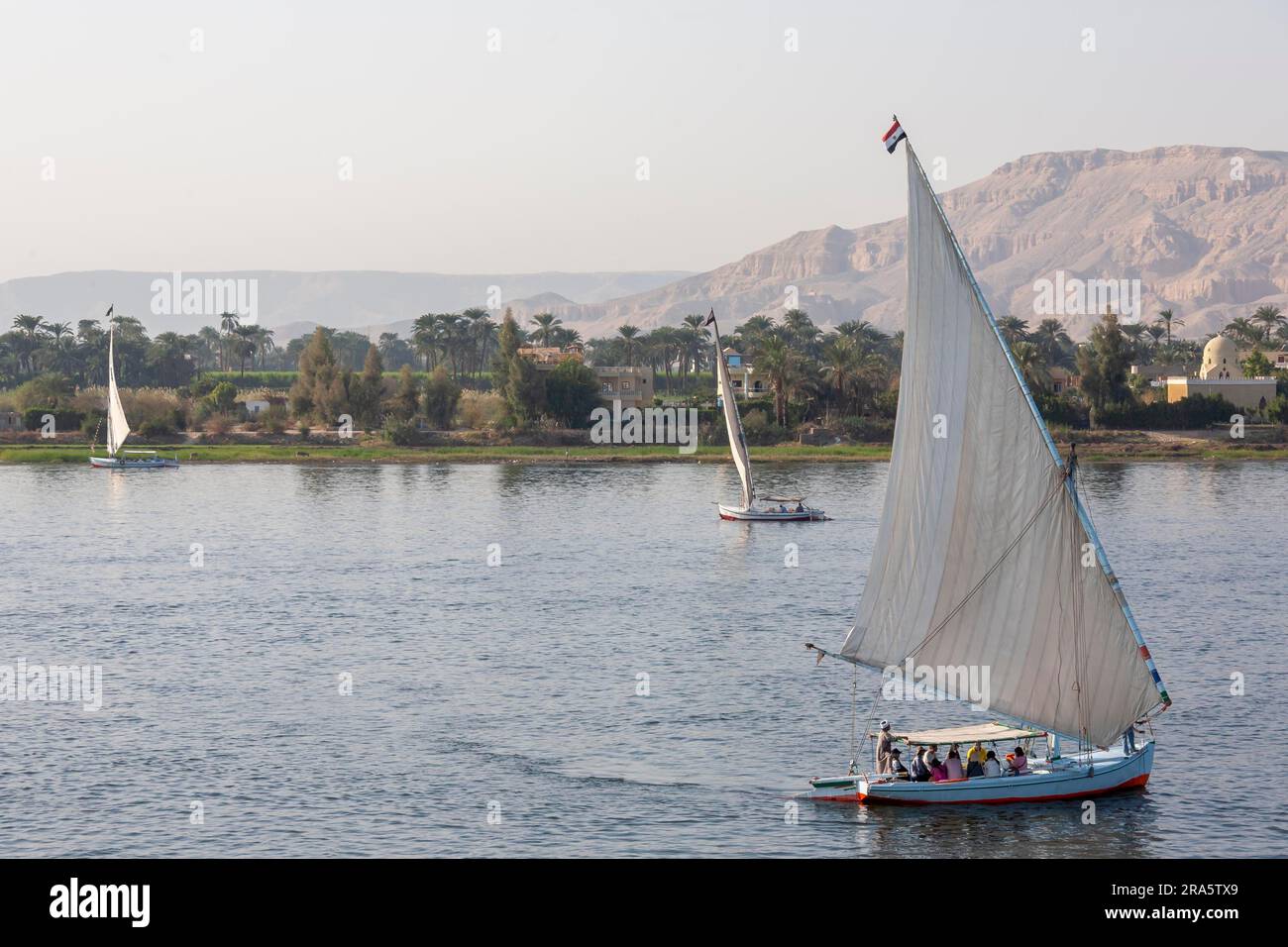 Feluccas on the Nile Stock Photo - Alamy