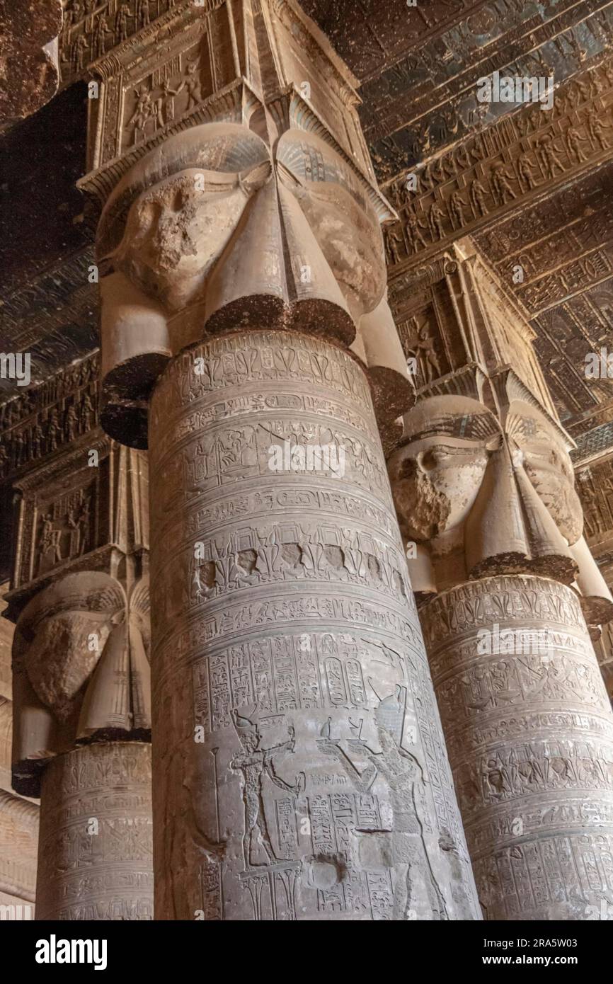 Columns at the Temple of Dendera Stock Photo - Alamy