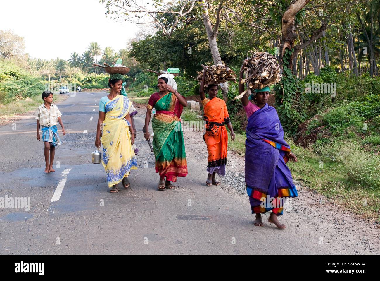Village woman coolies on their way to work place by walk, Tamil Nadu ...