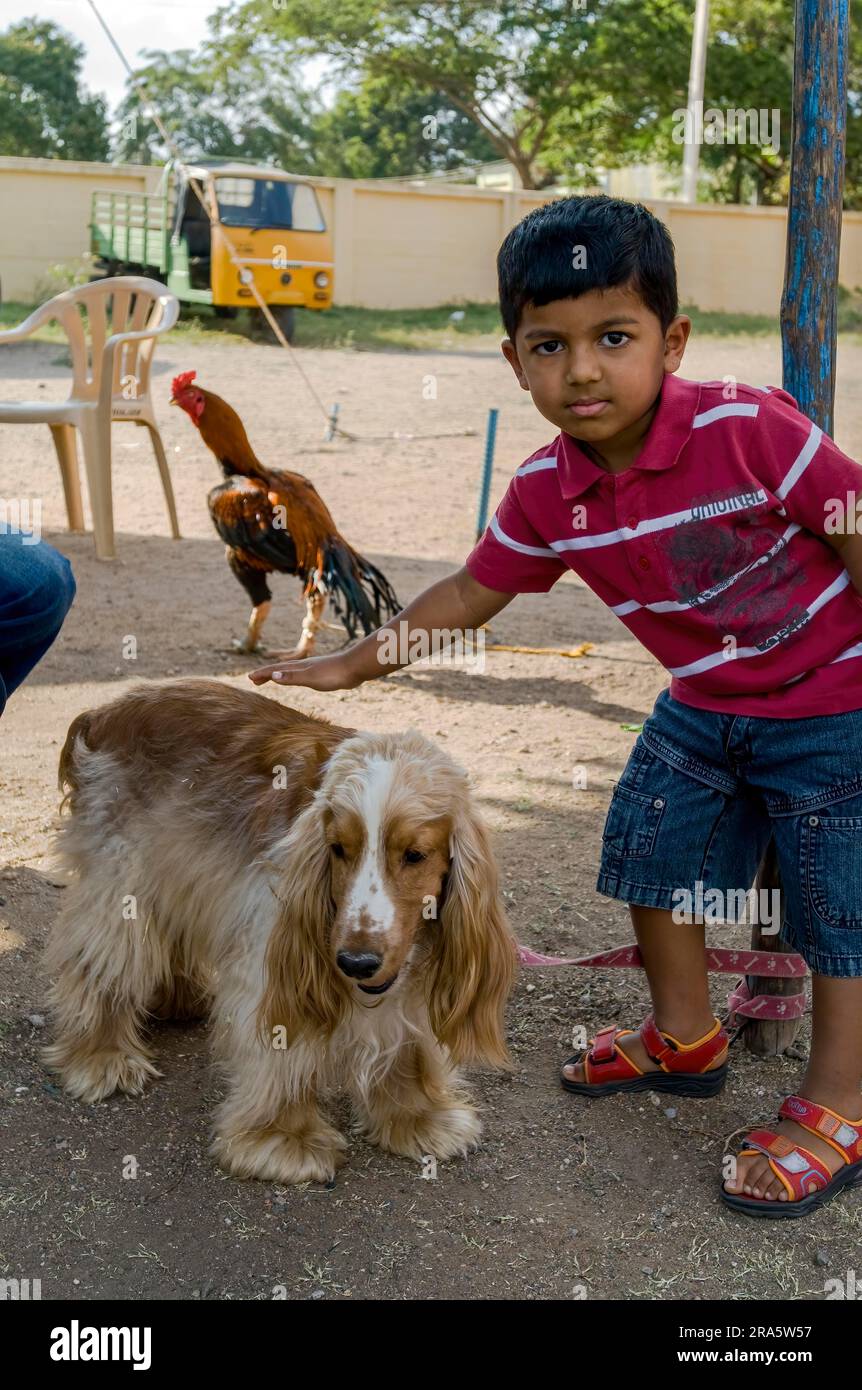 3-Year-old boy Ashwin with his dog (Canis lupus familiaris) Cocker ...