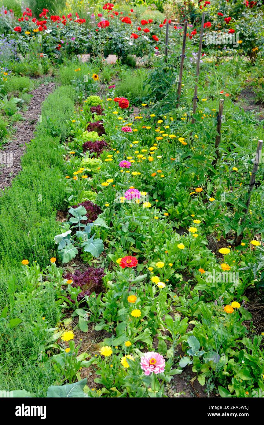 Fulda monastery garden hi-res stock photography and images - Alamy