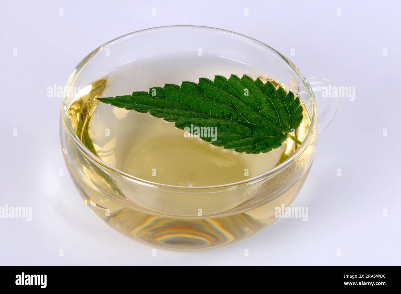 Nettle tea cup hi-res stock photography and images - Alamy